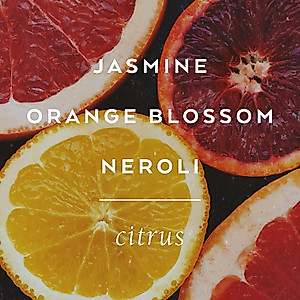 TokyoMilk Light Eau de Parfum | A Transcendent, Delicate Perfume | Enticing Fragrance Notes Form a Refreshing, Sensory Experience | 1.6 fl oz/47.3 ml