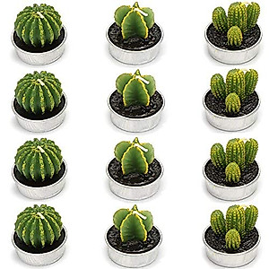 Sunnyglade 12PCS Cactus Tealight Candles Handmade Delicate Succulent Cactus Candles for Birthday Party Wedding Spa Home Decor