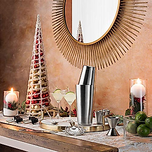 FineDine 14-Piece Cocktail Shaker Set Bartender Kit - Boston Shaker w/Strainer, Bar Jigger, Bar Spoon & More - Full Stainless Steel Cocktail Set w/Bar Tools - Drink Mixer Bar Set - Bar Accessories