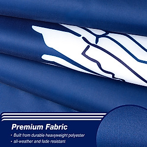 XIFAN Double Sided South Carolina State Flag 3x5 ft, Heavy Duty 3 Ply Durable Polyester, SC Flag with Vibrant Print/4 Rows Hemming/Brass Grommets for Indoor Outdoor Decor