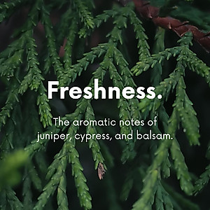 The Diamond Life Home "Juniper & Cypress" Natural Carpet Powder, Rug & Upholstery Freshener, Odor Eliminator For Homes With Kids & Pets