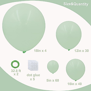 Pastel Green Balloons in different sizes 5 10 12 18inch-134pcs Pastel Green Balloons for Garland Arch，Baby Shower Graduation Wedding Anniversary Gender Reveal Birthday Party Decorations