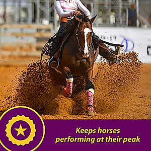 Horse Health Maxum Crumbles Concentrated Feed Supplement for Horses, Provides a Wide Range of Beneficial nutrients for Today's Equine Athlete 25 Pound