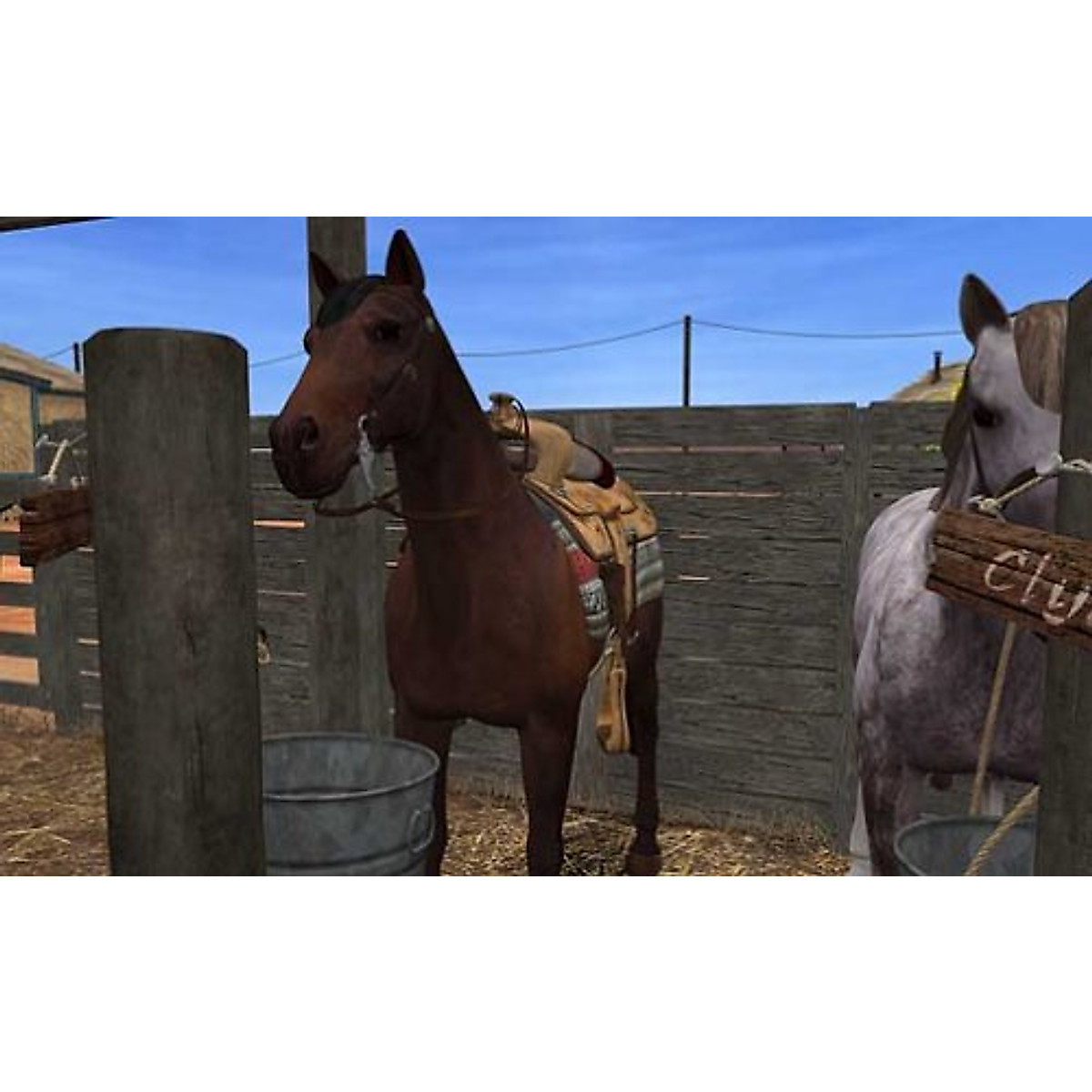 Nancy Drew: The Secret of Shadow Ranch - PC