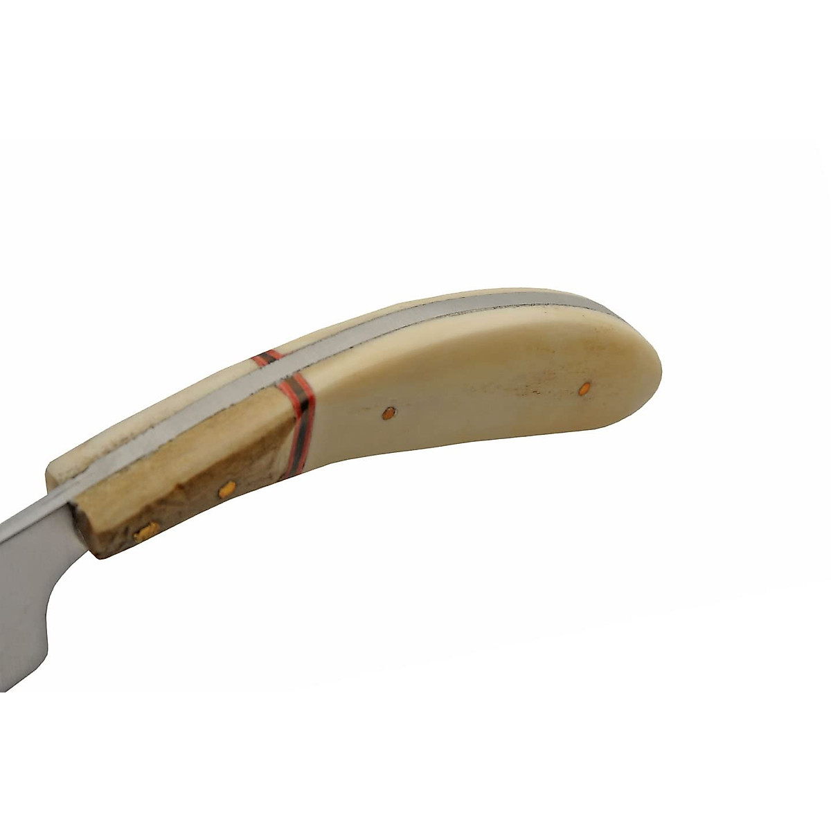 Curved Stainless Steel Blade Bone/Stag 8 inch Hunting Knife