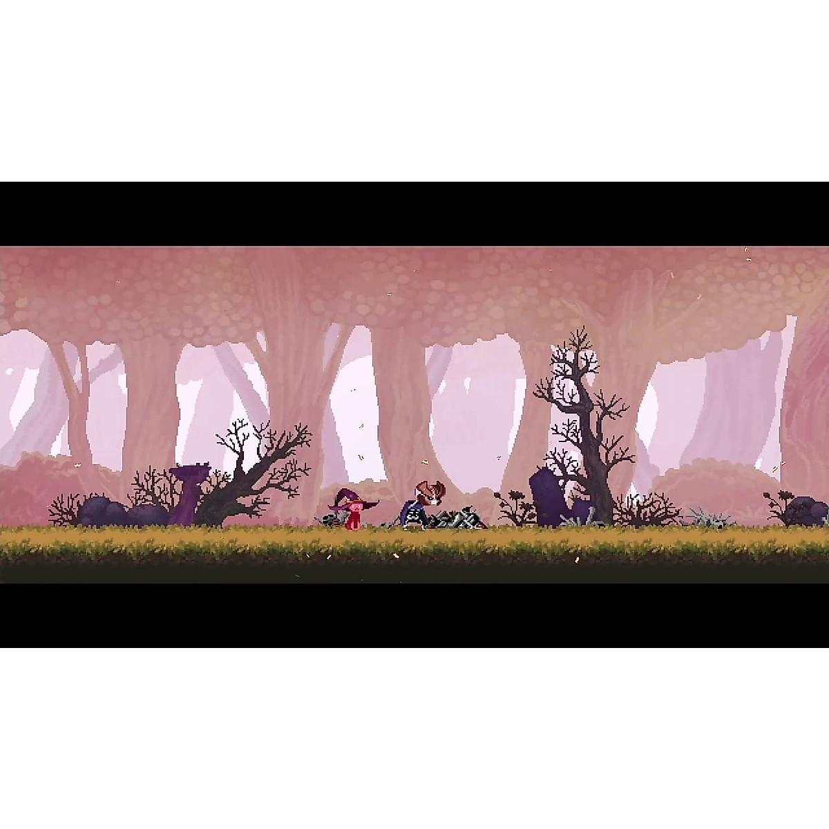 Skul: The Hero Slayer (English)