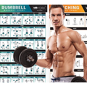 YoYork Exercise Posters for Stretching, Dumbell & Bodyweight Training - Home Gym & Fitness Workout w Minimal Equipment Needed - Get Full Body Workout at Home - 3 Laminated Posters Plus Workout Cards