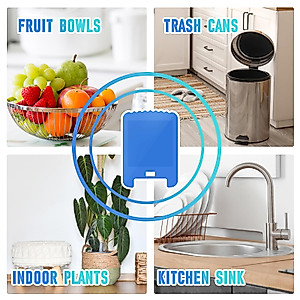 10 Pack Refill Cartridges Compatible with Raid Essentials Plug-in Blue Light, Replacement Refills Glue Cards for STEM Blue Light Indoor (10 Pack)