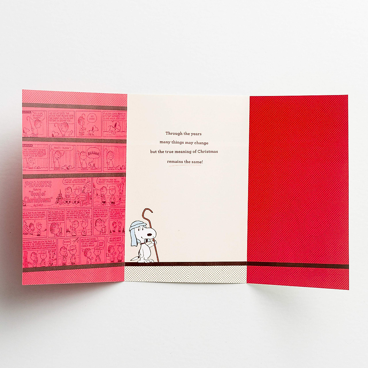 DaySpring - Peanuts That's What Christmas is All About Charlie Brown - 18 Premium Christmas Boxed Cards, KJV