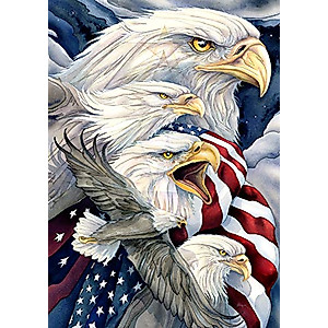 Toland Home Garden 1012379 Fly In Unity Patriotic Flag 28x40 Inch Double Sided Patriotic Garden Flag for Outdoor House Eagle Flag Yard Decoration