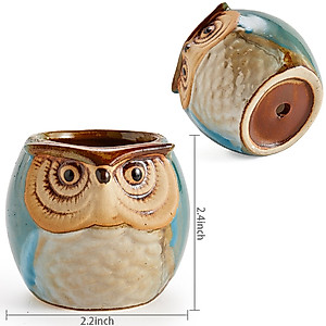 SUN-E SE Owl Pot Ceramic Flowing Glaze Base Serial Set Succulent Plant Pot Cactus Plant Pot Flower Pot Container Planter with Drainage Hole Home Office Desk Garden Gift Idea 6pcs 2.5 Inch