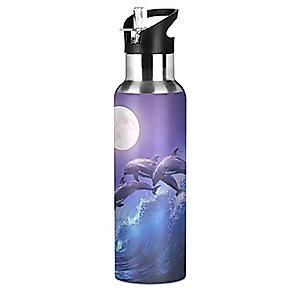 Oarencol Dolphins Water Bottle Moon Night Sea Animal Stainless Steel Vacuum Insulated with Straw Lid 20 Oz