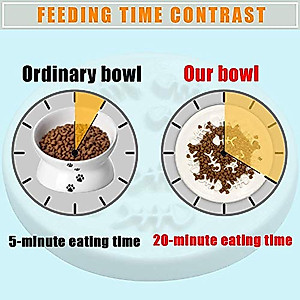 Slow Feeder Cat Bowl,Cat Puzzle Feeder Ceramic Dish with Fish Bone Design,Fun Interactive Slow Down The Eating Speed of Pets,Against Bloat,Indigestion