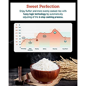 COSORI Rice Cooker 10 Cup Uncooked Rice Maker with 18 Cooking Functions, Advanced Fuzzy Logic Micom Technology, Texture Optional, 50 Recipes, Keep Warm, Delay Timer, Stainless Steel Steamer