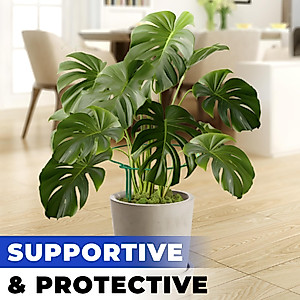 12 Pack Tall Snake Plant Support Stakes – 10" W x 24" H Half Round Peony Cages and Supports for Indoor and Outdoor Plants – Plant Cage Ring Support for Flower - Peony, Tomato, Hydrangea, Rose Bush