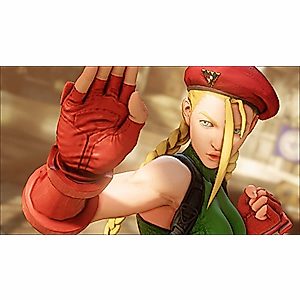 Street Fighter V - PlayStation 4 Standard Edition