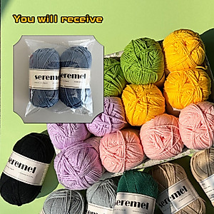 seremel 4Ply Acrylic Soft Yarn 2 Balls 1Pack, 2 Pcs Crochet Yarn Total 100g (3.4oz) / 260m (280Yds), Crocheting/Knitting #4 Medium Yarns, Worsted Beautiful Color (White) (White)