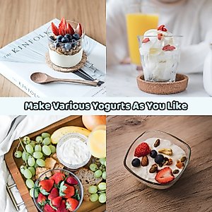 JoyMech Compact Yogurt Maker with Strainer, Greek Yogurt Maker Machine with Constant Temperature Control, Stainless Steel Container, 1 Quart Container, Ideal for Homemade Yogurt, Natto and Kefir
