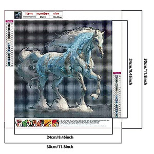 Fsnjcz 5D Zodiac Diamond Art Painting Kits Diamond Art Painting for Adults Kids DIY Full Drill Chinese Zodiac Paint with Round Diamonds Gem Art Crafts for Home Wall Decor 11.81x11.81in (Horse)