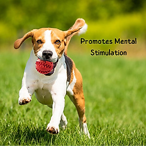 Pupp Stuff 2-in-1 Dog Ball Toy- Green 3 inch- Durable Chew Ball for Aggressive Chewers, Non-Toxic Natural Rubber, Teeth Cleaning Aid, Snack-Filling Fun, Anxiety and Stress Relief - for All Dog Sizes