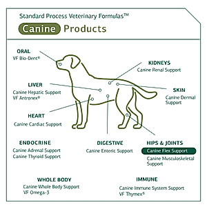 Standard Process Canine Flex Support - Joint & Immune Health Support Supplement for Dogs - Chewable Wafers for Healthy Joint Function Support - Nutritional Whole Food Supplement - 100 wafers