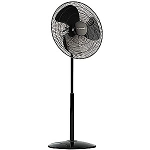 Westerly Oscillating Pedestal Fan, Adjustable Height, 3 Speeds, for Bedroom, Living Room, Home Office and College Dorm Room, 18", Black (2)