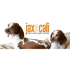 JAX & CALI Pet Wipes, Natural Textured Paw and Body Wipes, Hypoallergenic, pH Balanced, Vitamins B3 & E, Soothing Aloe, No Fragrance, Holistic, Cruelty Free, Dogs & Cats, Extra Large 8"x10", 20 Wipes