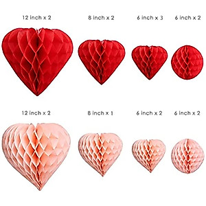 UNIQOOO 16 Pack Red Blush Pink Party Decoration Pom Pom | Heart & Ball Tissue Paper Honeycomb | Perfect for Party Decor, Wedding, Valentine's Day, Engagement, Bridal Shower, Baby Shower, Birthday