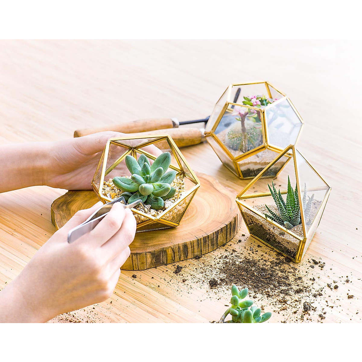 Mkono Artificial Succulent in 3 Pack Mini Glass Geometric Terrarium, Miniature Potted Faux Plant Bookshelf Desk Boho Office Room Decor for Women Girls Dorm Gift Idea, Gold