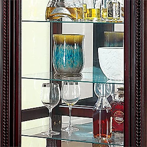 Furniture of America Lisandro Traditional Glass Door Curio Cabinet in Espresso