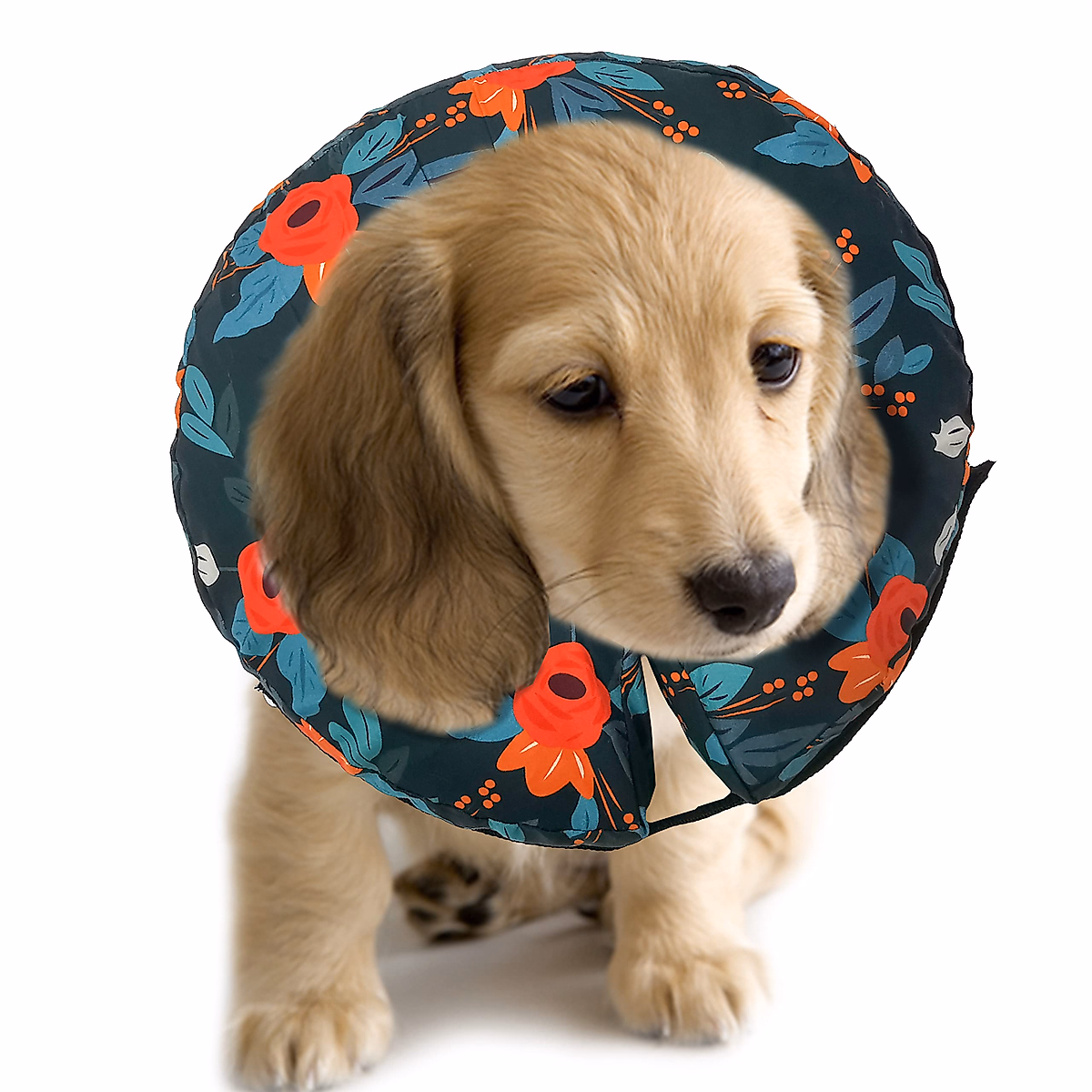 Purrrfect Life Protective Inflatable Collar for Dogs and Cats - Soft Pet Recovery Collar Does Not Block Vision, Prevents Pets from Touching Stitches, Wounds and Rashes (Floral, S)