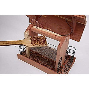 Solution4Patio Homes Garden USA Cedar Bird Feeder Wildbird Essentials Handmade Wooden Outdoor Ranch Patio Yard Tree Hanging with Double Plastic Window and Double Suet Holder Cages Combination #G-8534