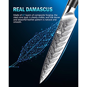 Arisman 5 Inch Utility Knife, Japanese Damascus Steel Paring Knife, Sharp VG10 Fruit Slicing Knife, Small Kitchen Knife with Full Tang Ergonomic G10 Handle