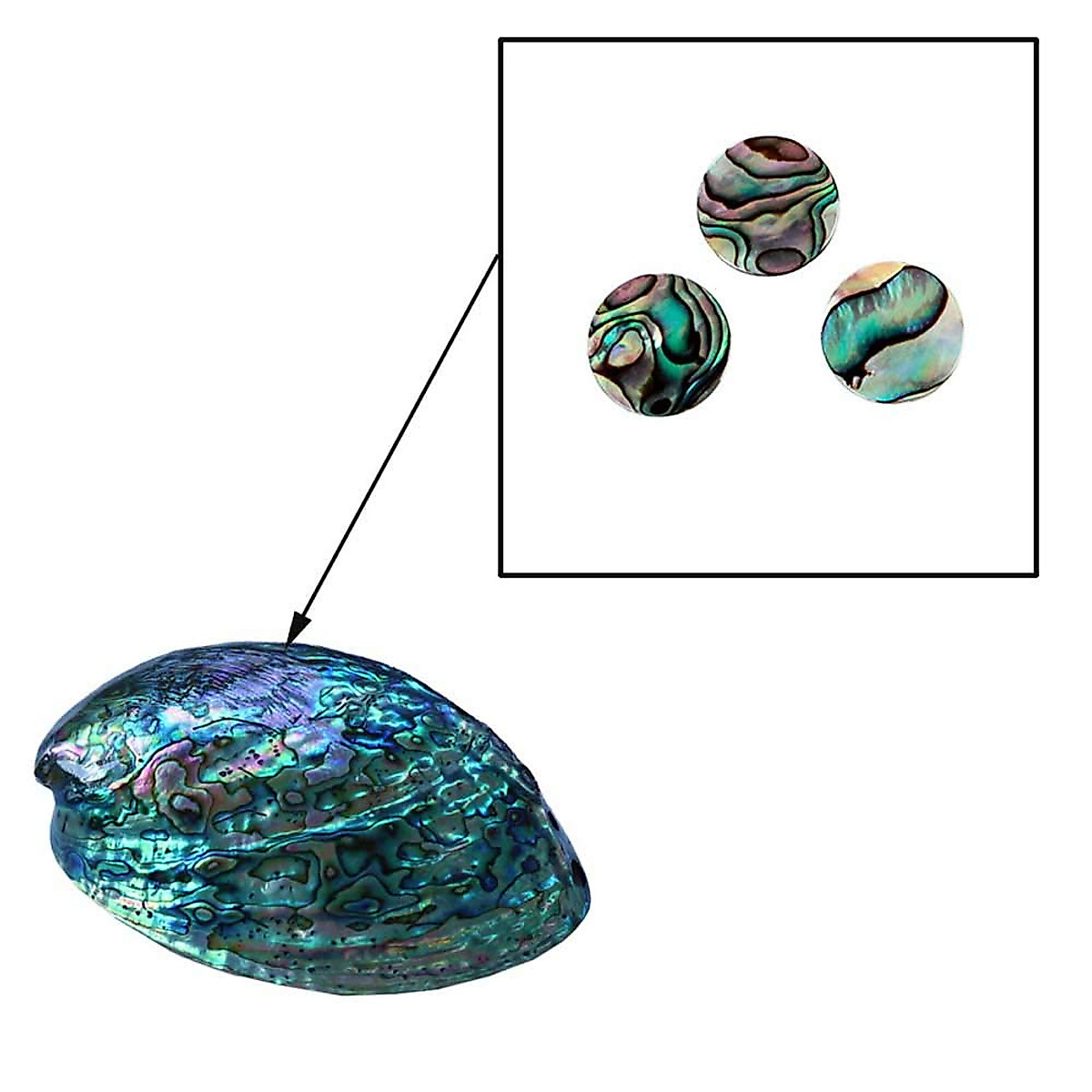 3 Pcs Trumpet Buttons Finger Key Valve hat Screw Repairing Parts for Trumpet Lovers with Abalone Shell