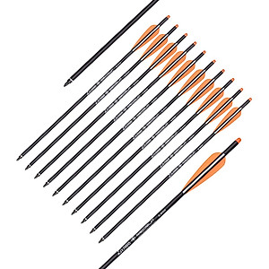 20Inch Carbon Crossbow Bolts Hunting Archery Arrows with 4" Vanes Moon Nocks Target Tip (Pack of 12)