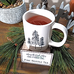 Organic Pine Needles for Tea | FRESH NOT DRIED | Maxwell Creek Farm | Loose Needles | Immune Boosting | Includes Trial Custom Blend Pine Needle Tea Bag! (2 Ounce Trial)