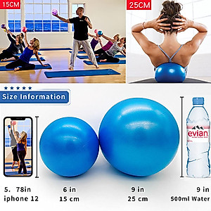 JUFANGFIN Pilates Exercise Ball Mini 6 Inch Yoga Barre Workout Fitness Balance Physical Therapy Squishy Balls for Home with Pump(Purple)