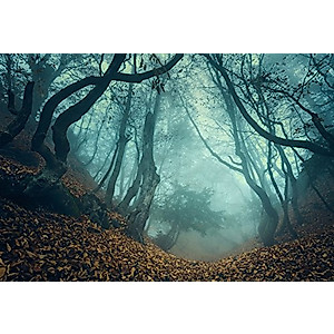 Leowefowa Misty Forest Halloween Theme Backdorp 10x8ft Vinyl Photography Backgroud Autumn Landscape Fairy Wonderland Outdoor Cold Morning Halloween Holiday Child Adult Photo Shoot…