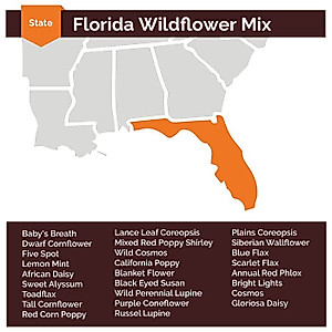 Florida Wildflower Seed Mix - 1/4 Pound - Mixed Wildflower Seeds, Attracts Bees, Attracts Butterflies, Attracts Hummingbirds, Attracts Pollinators, Easy to Grow & Maintain, Cut Flower Garden