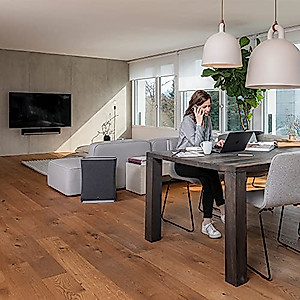 Stadler Form Luftreiniger Roger mit Dual Filter (H12 HEPA & Aktivkohle), filtert Schadstoffe wie Pollen, Staub, Tierhaare, Bakterien und Viren aus der Luft, bis zu 66 m² inkl. Auto-Modus