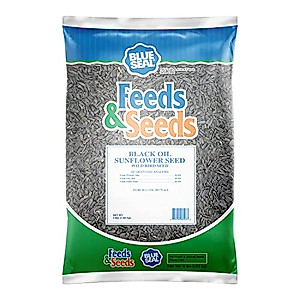 Blue Seal Premium Black Oil Sunflower Wild Bird Seed - High in Fat and Protein - 4 Pound Bag