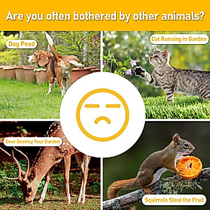 Ultrasonic Solar Animal Repeller for Yard, 6 Modes Outdoor Animal Repellent with PIR Motion Sensor & Flashing Light, Animals Deterrent for Squirrel Bird Deer Cat Skunk Dog for Yard Garden