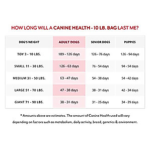 Dr. Harvey's Canine Health Miracle Dog Food, Human Grade Dehydrated Base Mix for Dogs with Organic Whole Grains and Vegetables (10 Pounds)