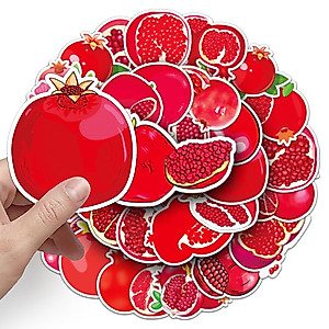 Pomegranate Stickers for Kids Girls Boys Teens|50 Pcs| Aesthetic Waterproof Vinyl Stickers for Laptop Water Bottle Phone Cup Tablet Luggage Car Flasks, Unique Fruit Decals Pack(Pomegranate-50Pcs)