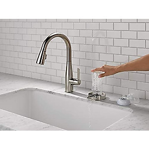 Delta Faucet Glass Rinser for Kitchen Sinks, Kitchen Sink Accessories, Bar Glass Rinser, SpotShield Stainless GR150-SP