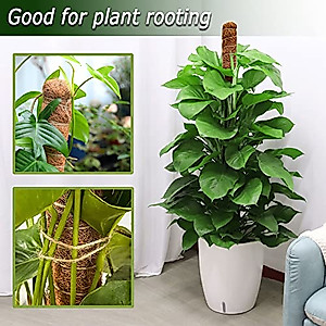 2 Pack Moss Pole, 28 Inch Bendable Moss Pole for Plants Monstera, Moss Poles for Climbing Plants Indoor, Coir Plant Pole Sticks Support Stakes for Potted Plants, Pothos, Philodendron