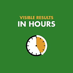 Spectracide Weed Stop For Lawns Concentrate, Ready To Spray, 32 Ounce, 1 Pack