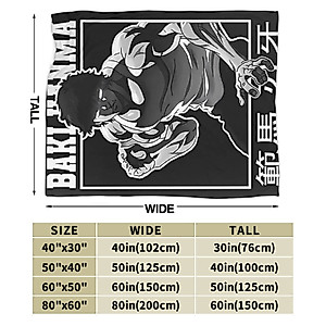Anime Baki The Grappler Baki Hanma Throw Blanket Ultra-Soft Micro Fleece Cozy Warm Suitable for All Living Rooms/Bedrooms/Sofa 40"X30"