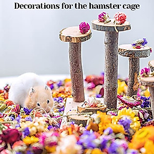 PINVNBY Hamster Bedding, 7OZ Natural Dried Flower & Herb Litter, Small Pet Bedding Small Animal Bedding Mate of Hamster Bedding for Gerbils Mice Lemming Degus (Flower & Grass)