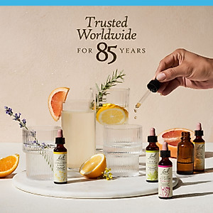 Bach Original Flower Remedies, Chicory for Unconditional Love, Natural Homeopathic Flower Essence, Holistic Wellness and Stress Relief, Vegan, 20mL Dropper